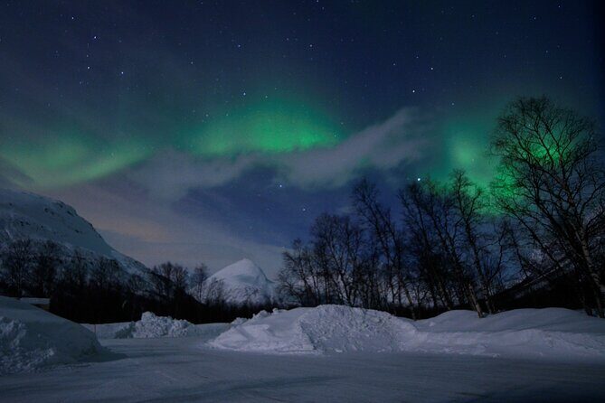 The Aurora Tour - VIP trip for northern lights, aurora borealis - Deep Dive into the Itinerary