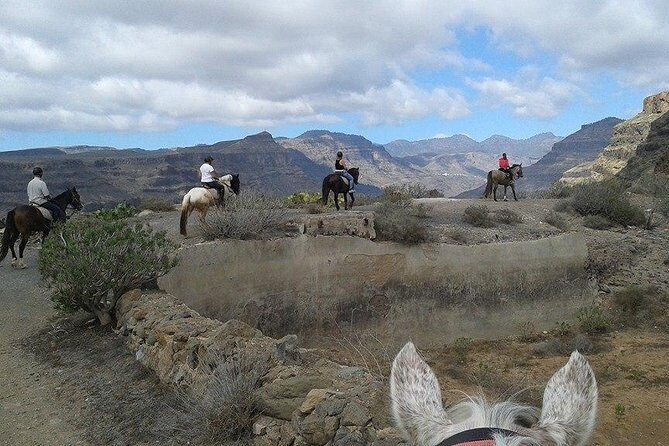 The Best Horse Riding Experience in Gran Canaria (1 hour) - The Sum Up