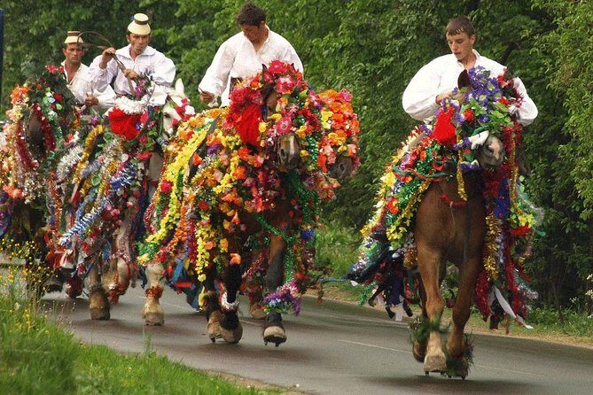 The Best of Maramures in One Day - Authenticity and Reviewer Insights