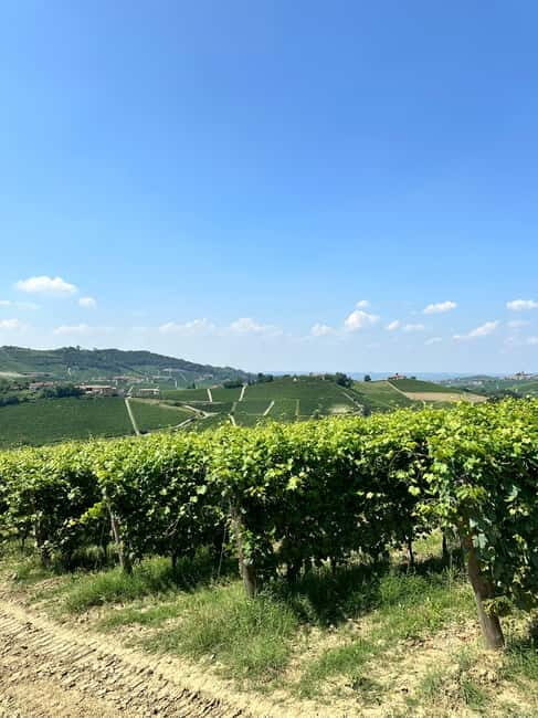 The Best of the Langhe: Wine Tasting & Traditional Meal - Who Will Appreciate This Tour?