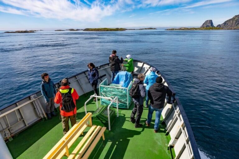 The Bird Safari Tour - An In-Depth Look at the Bird Safari Tour