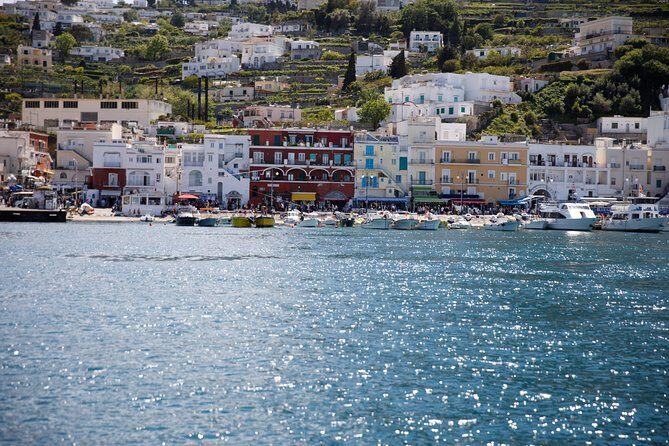 The Blue Dream: Capri Boat Tour from Sorrento - Practical Details & Value