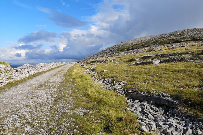 The Burren and Cliffs of Moher Private Tour from Galway - What You Can Expect from a Typical Day