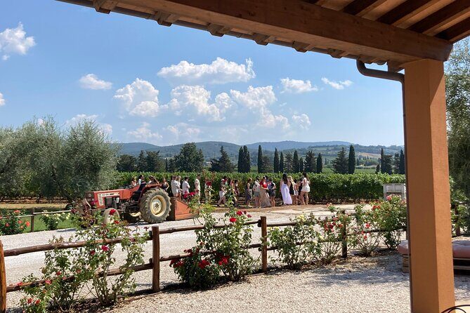 The classics - Guided tour with DOC Bolgheri tasting - Practical Details and Booking
