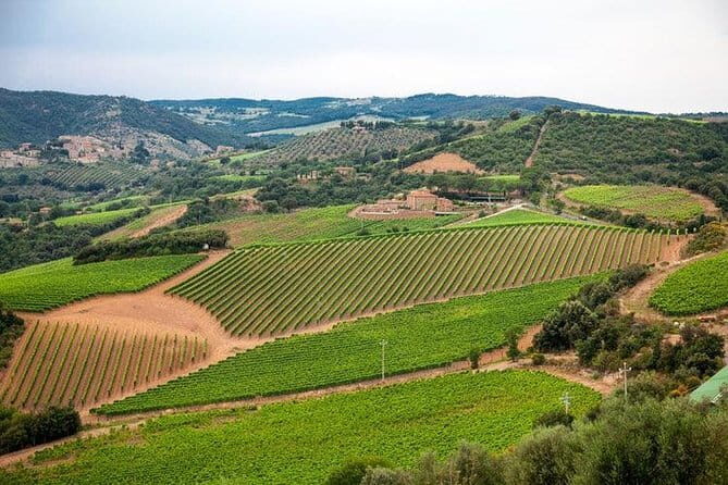 The Complete Wine Tour Brunello, Nobile, Chianti wine experience - Who Is This Tour Best For?