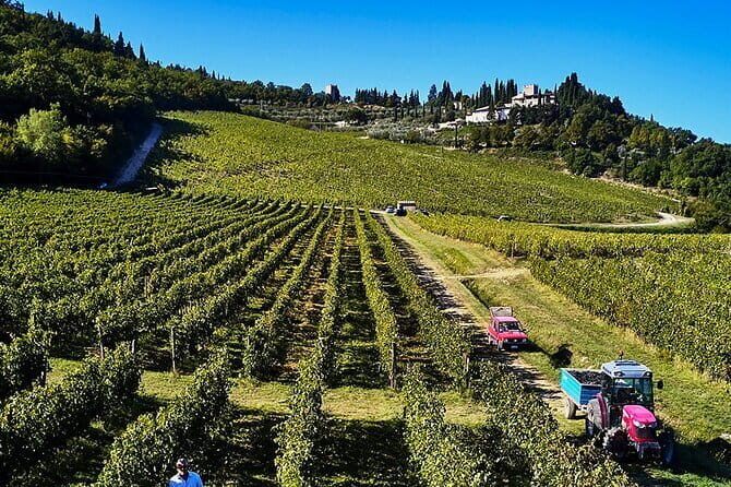 The Essence of Tuscany: Private Journey & Estate Winery Lunch - Authentic Reviews & Insights