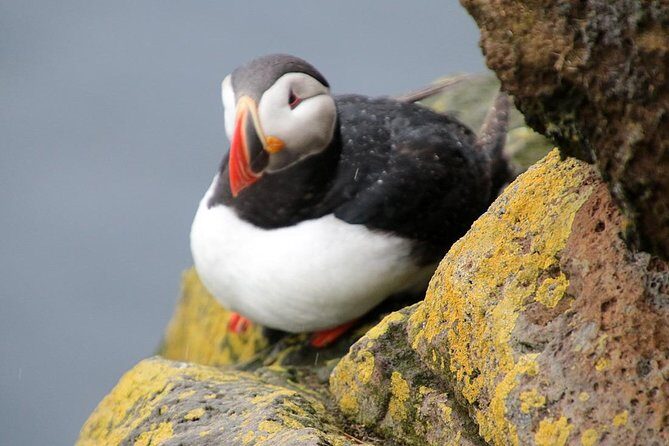 The Great Round Tour: Around Iceland in 13 Days - The Sum Up