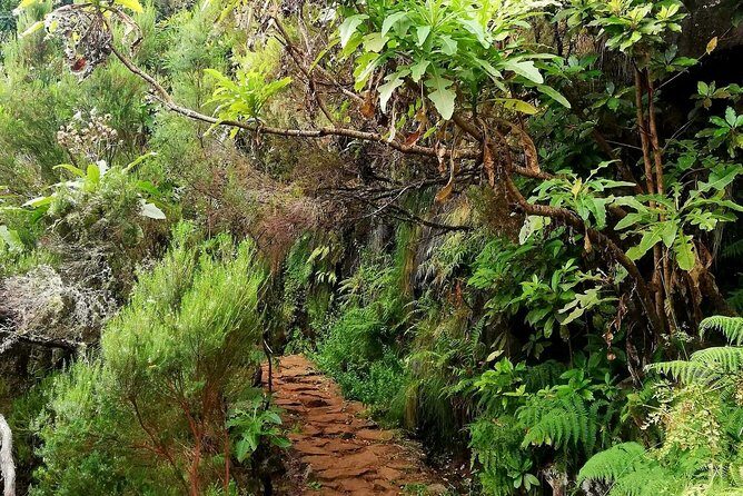 The Lakes Walk - Authentic Experiences and Traveler Insights