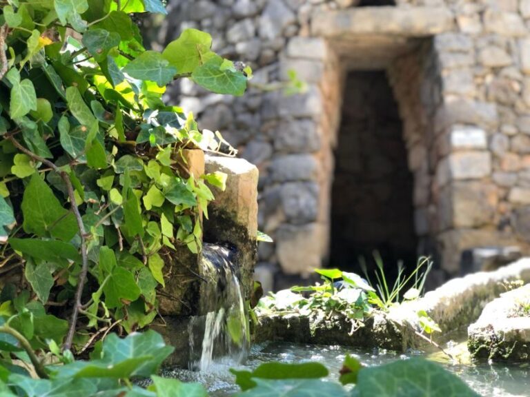 The Limestone Heritage Park and Gardens (Entry Ticket) - What’s Included and How It Works