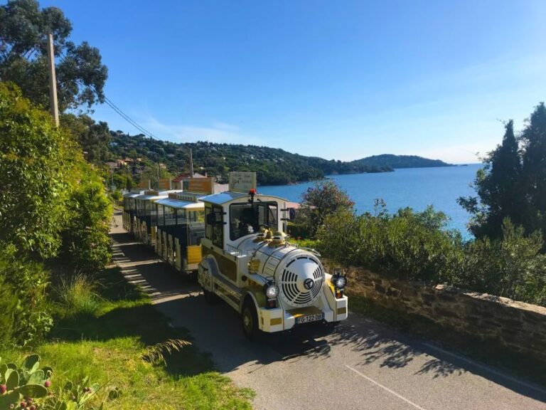 The Little Train of Lavandou's beaches - Practical Details and Tips