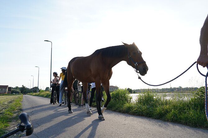 The Milan you don't expect, bike tour with picnic on the lake - Practical Details and What to Expect