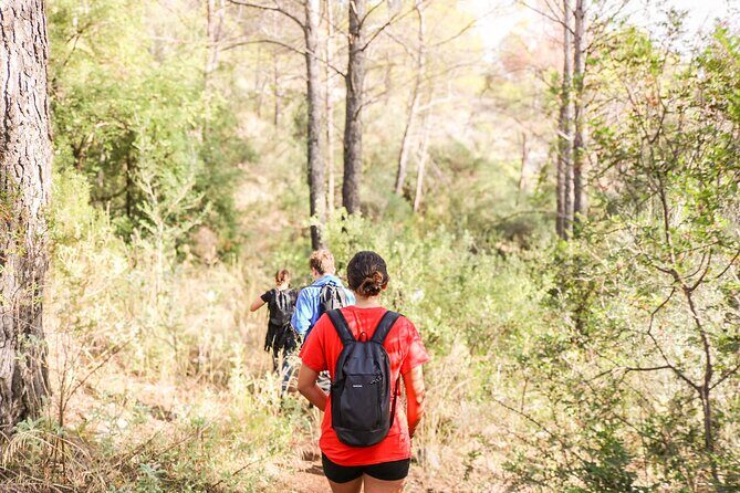 The Monks Trail: Mountain Hiking Adventure In Marbella - Is It Worth the Price?
