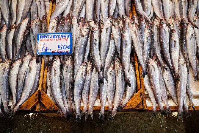 The Moveable Sunday Feast - Exploring the Itinerary: What to Expect at Each Stop