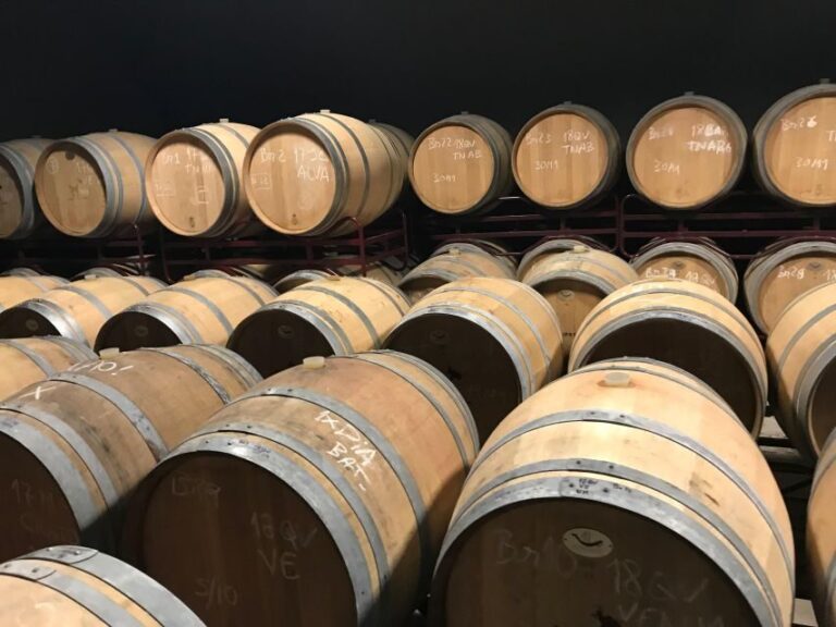 The Real Algarve: 2 Boutique Wineries & Silves Tour - Exploring the Itinerary and What to Expect