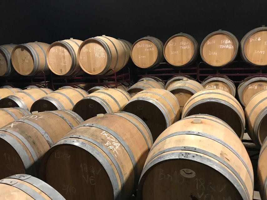 The Real Algarve: 2 Boutique Wineries & Silves Tour - Exploring the Itinerary and What to Expect