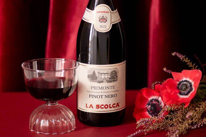 The Scolca Experience - FAQ: Your Practical Questions Answered