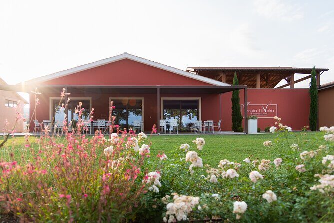 The selections - visit with Bolgheri wine tasting - Considerations and Possible Drawbacks