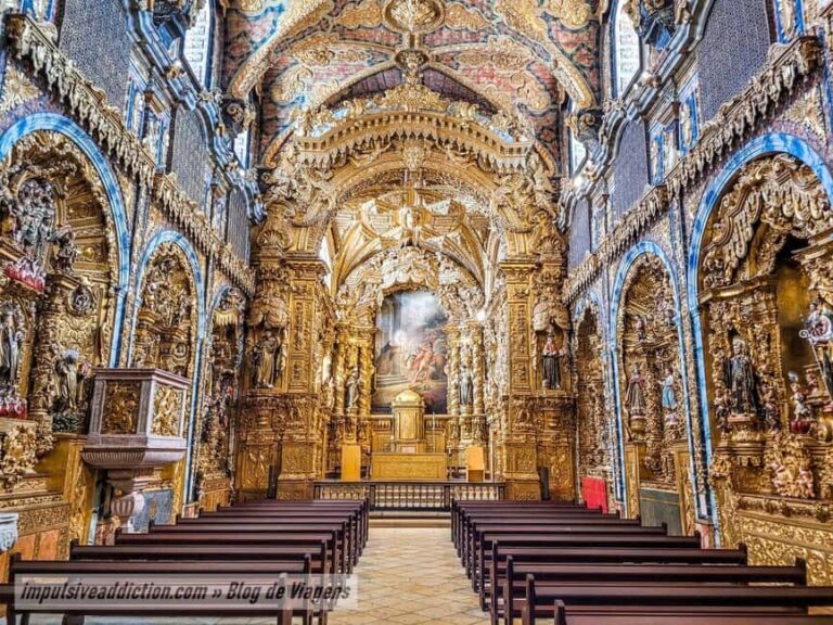 The Soul of Porto: Walking Tour with Food and Wine Tasting - Practical Details & Tips