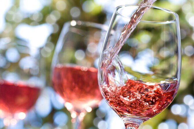 The Taste of Malta Artisan Wine Pairing - Who Is This Tour Best For?