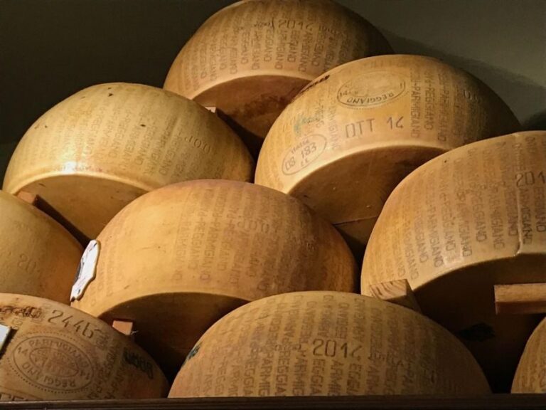 The Truffle Experience in Rome - Final Thoughts: Who Will Love It?