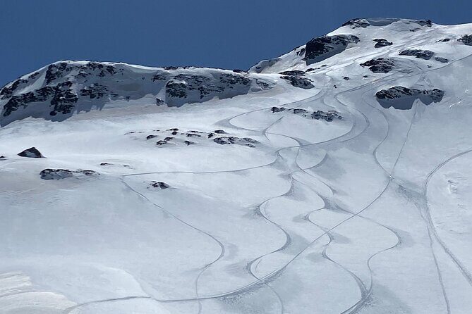 The Ultimate Snowmobile Adventure - 7 Rila Lakes & Panichishte - Who Should Consider This Tour?