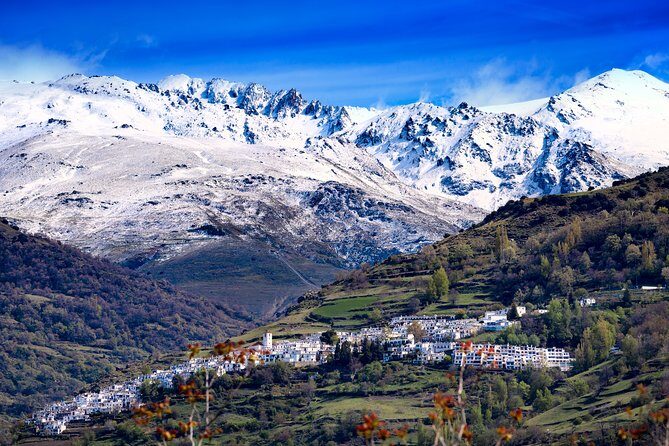 The Unchanged Villages of Alpujarra Small-Group Guided Day Trip - Who Should Consider This Tour?