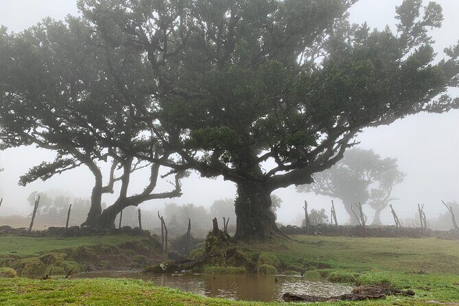 The Untraveled West Tour - Practical Details and Value