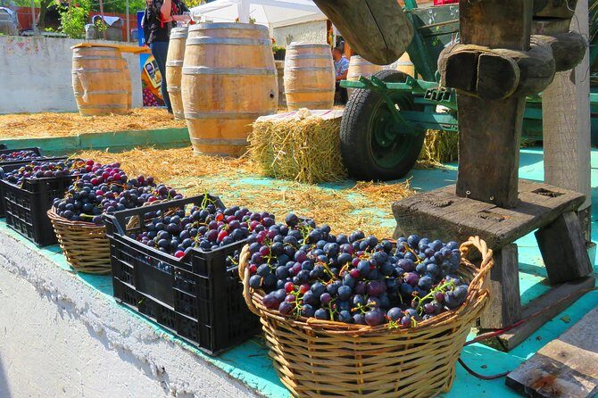 The wine route by bike - Final Thoughts: Who Is This Tour Perfect For?