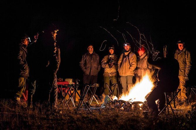 The Wolf Howl Experience - Practical Details & Tips