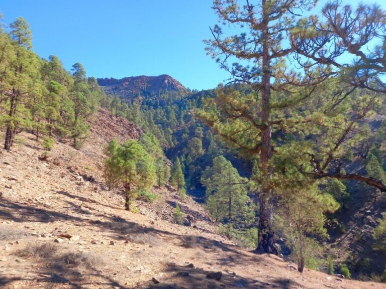 The Wow Factor Walk - The Itinerary: What to Expect