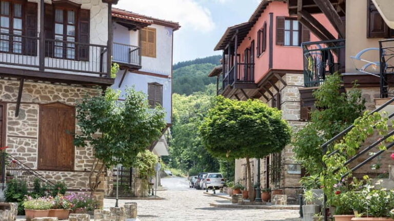 Thessaloniki: Halkidiki, Arnaia, Ierissos  Swim & Tasting - Practical Details and Value