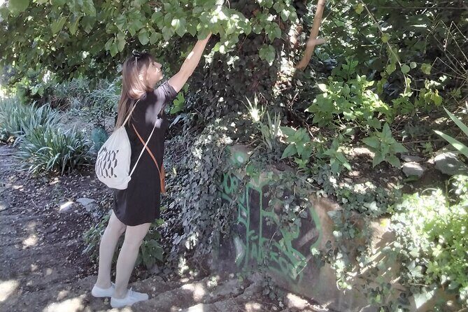 Thessaloniki Old Town Mythology & Nature Walking Tour - The Value of the Tour