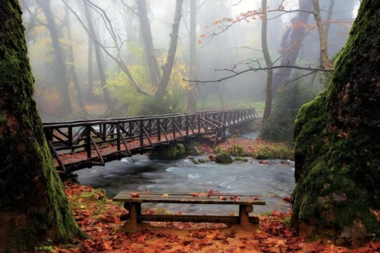 Thessaloniki: Vergina, Agios Nikolaos, and Edessa Full Day - Exploring Vergina: The Ancient Macedonian Royal Tombs