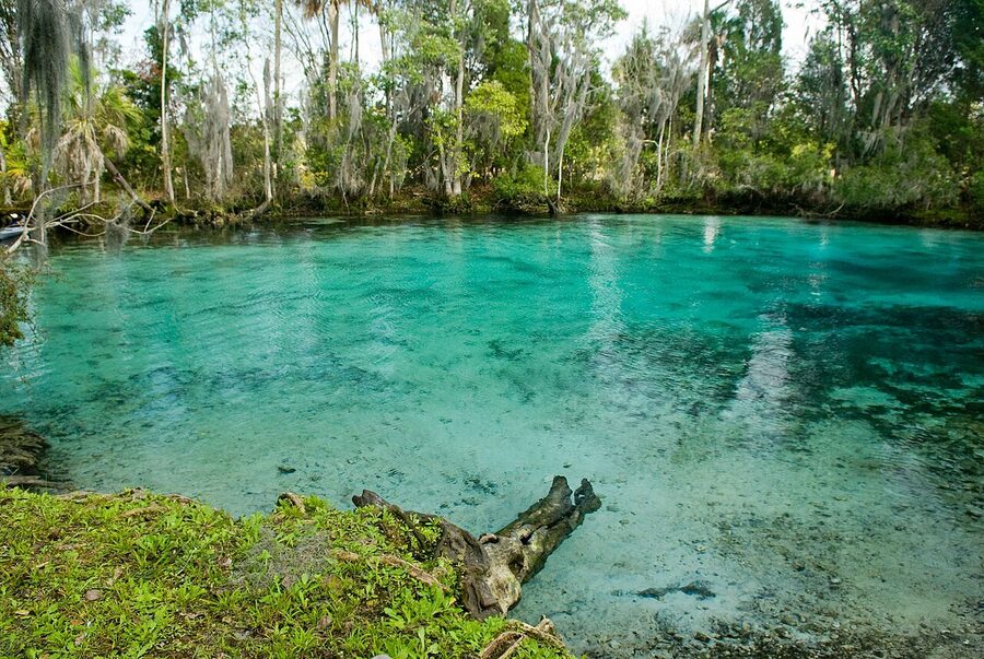 Aerial view of Three Sisters Springs at Crystal River National Wildlife Refuge in Florida
