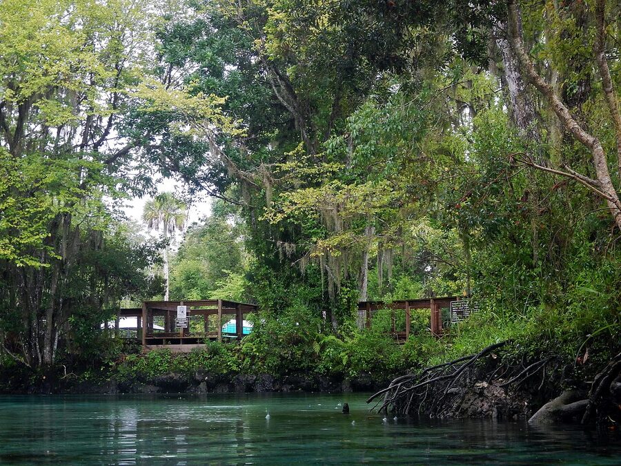 Three Sisters Springs at Crystal River, Florida