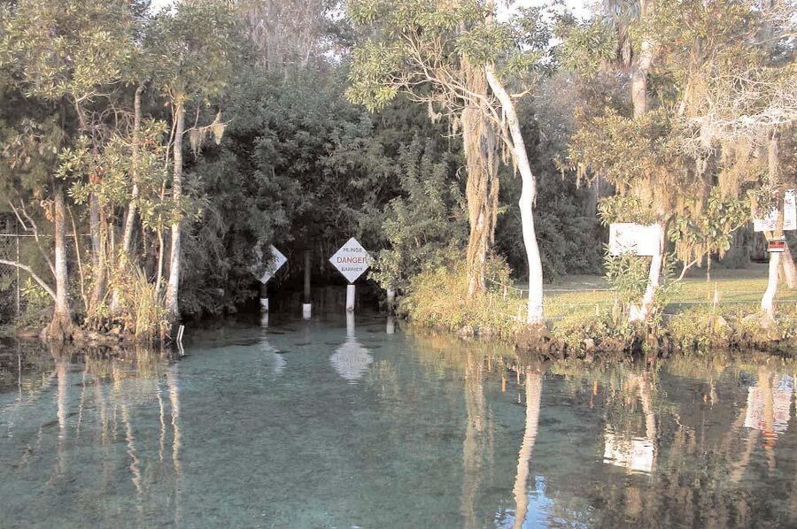 Three Sisters Springs pool with clear water in Crystal River, Florida