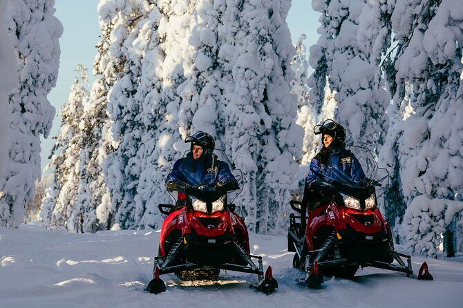 Thrill of Snowmobiling for Adults Only - Who Will Love This Tour?