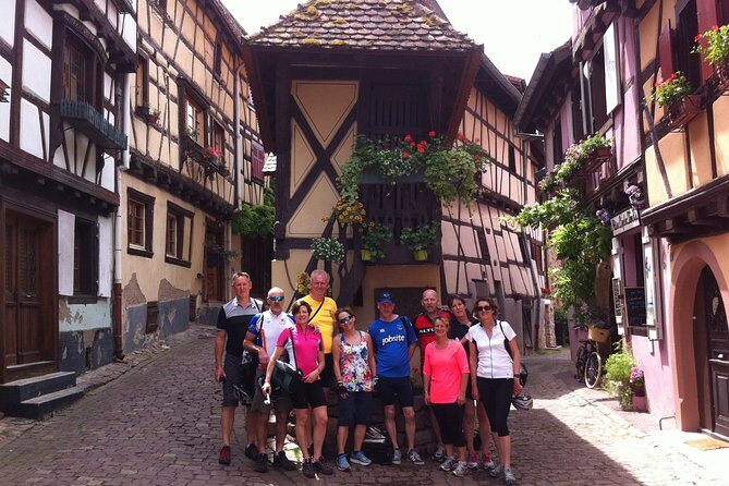 Through Alsace Vineyards and Wine Villages Private Bike Tour - Bike and Equipment