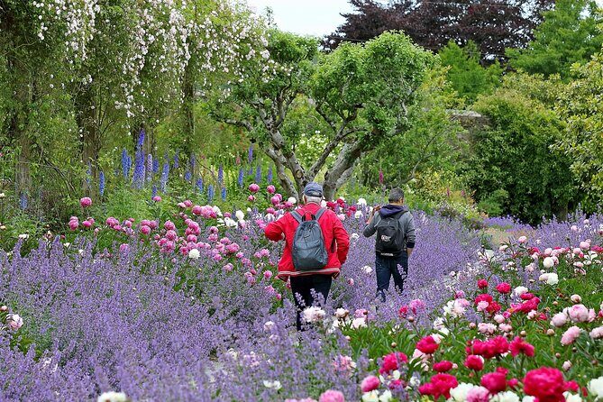 Tickets to Explore Ireland's Global Garden - In-Depth Look at the Tour Experience