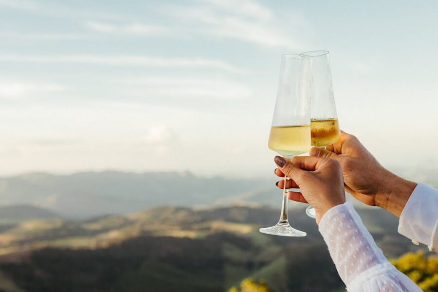 Two people toasting wine glasses with vineyard view