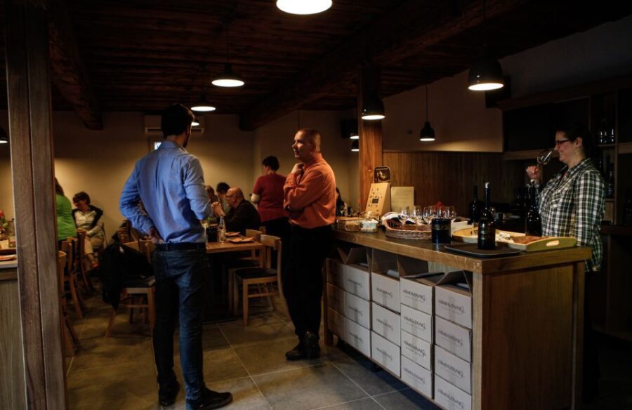 Tokaj: Vineyard Tour & Tasting - The Winery and Vineyard Experience