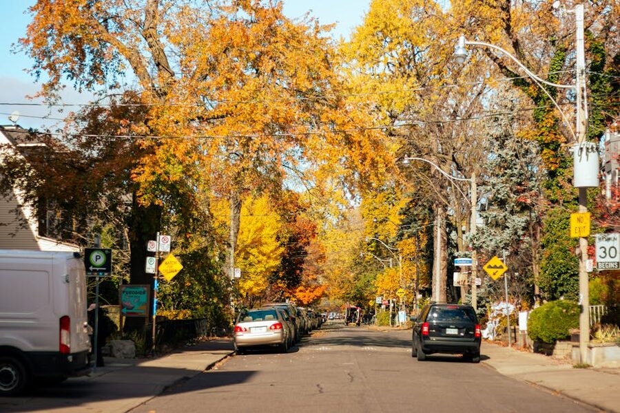 Toronto street in autumn with trees turning red and orange