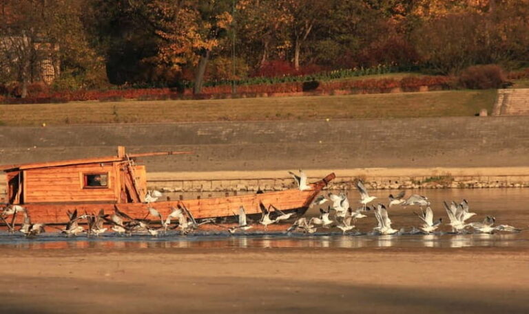 Toru: Sightseeing Cruises on the Vistula River - The Experience of the Crew and Safety