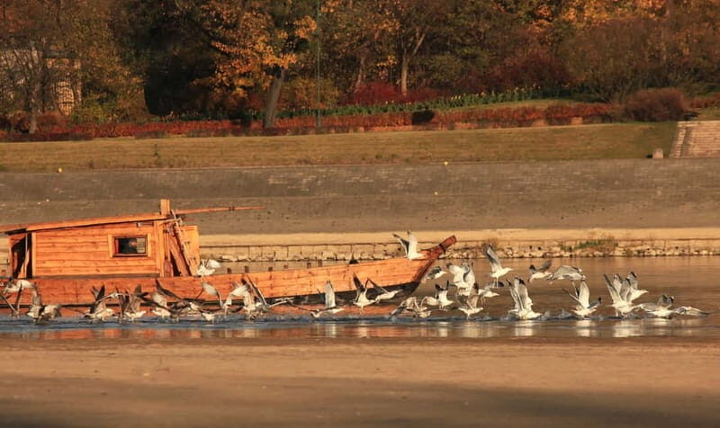 Toru: Sightseeing Cruises on the Vistula River - The Experience of the Crew and Safety
