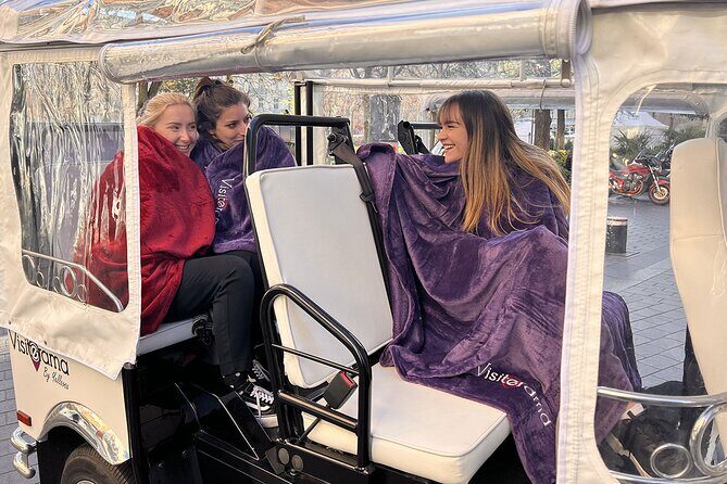 Toulouse Tour in Electric Tuk Tuk - The Bottom Line: Who Should Take This Tour?