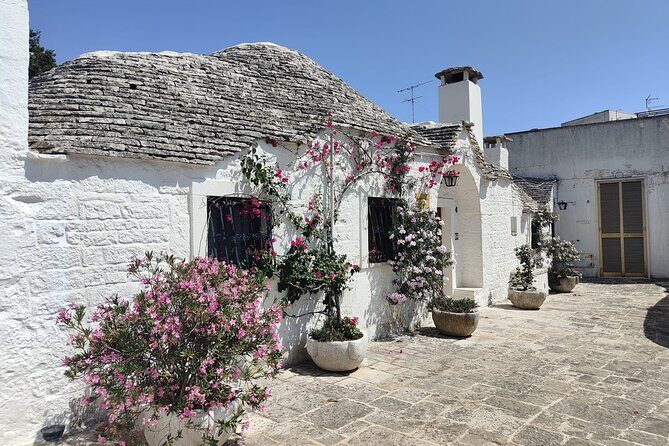Tour : Alberobello, Ostuni, Locorotondo : Local Guide & Lunch - Transportation and Group Size