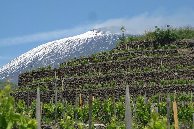 Tour Etna and Wine an experience between nature and aromas with taste. - Authentic Experiences and Insights from Reviewers