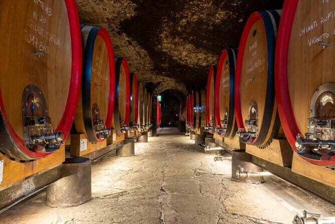 Tour of 900year old secret cellars + tasting of 3 wines and bread with EVO oil - Why the Price Reflects Good Value