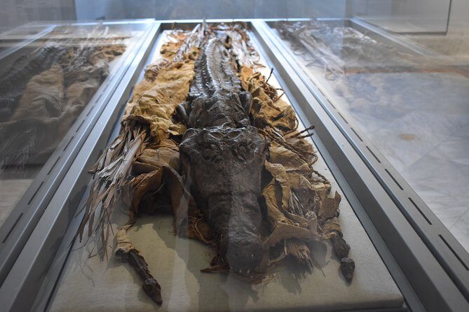 Tour of the Archaeological Museum of Naples - The Authentic Experience: Why It Matters