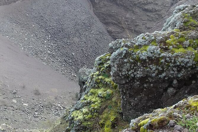 Tour Positano & Sorrento with a lunch stop - Final Thoughts